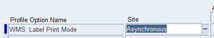 Configure WMS Profile Options for Asynchronous Operations – Skipjack ...